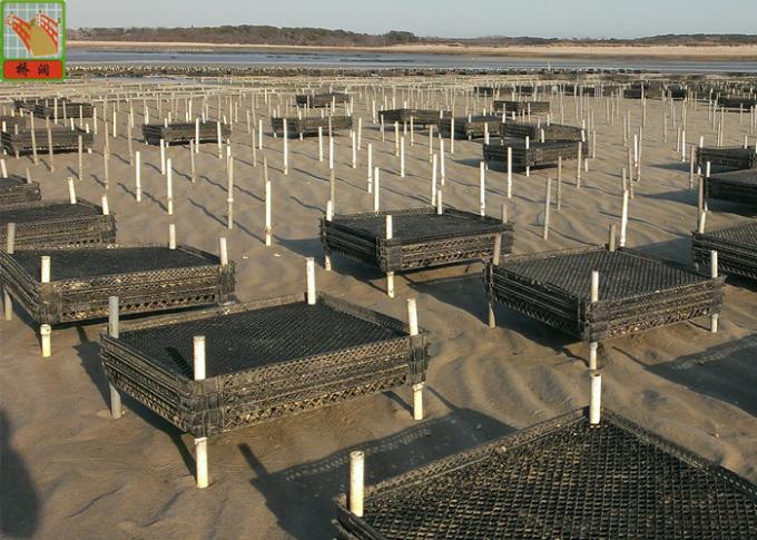 Extruded Square Aquaculture Netting Plastic Oyster Mesh 1m Wide Black Color