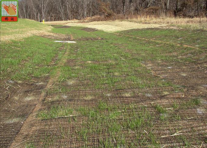 Green Ground Netting Erosion Control , PP Plastic Erosion Control Wire Mesh