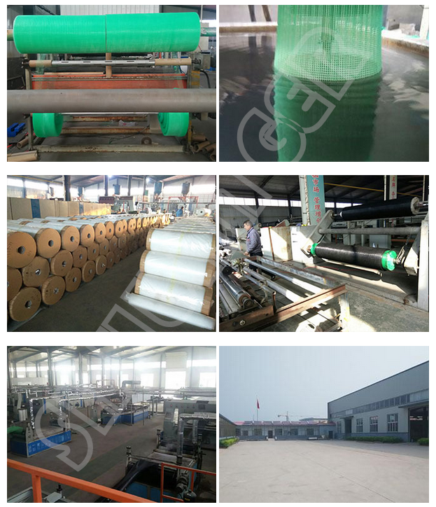 China Hebei Shuanger Plastic Net Co,.Ltd. factory production line