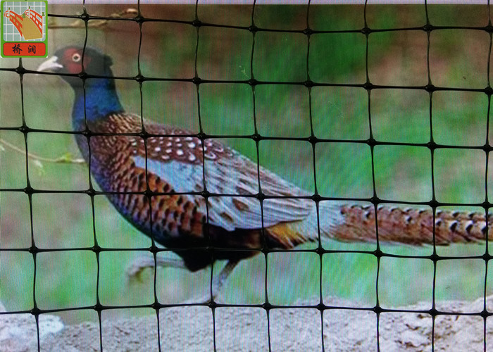 Rust Proof Plastic Pheasant Netting Fencing, Plastic Poultry Netting ...