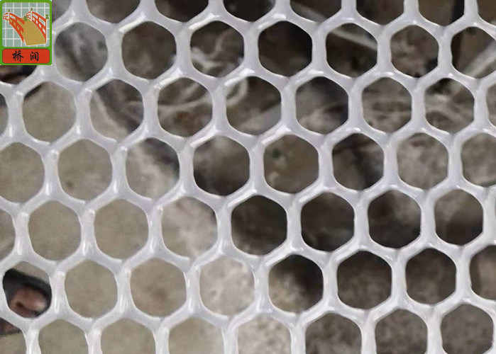 Hexagonal Plastic Plaining Netting , Extruded Plastic Netting , HDPE ...