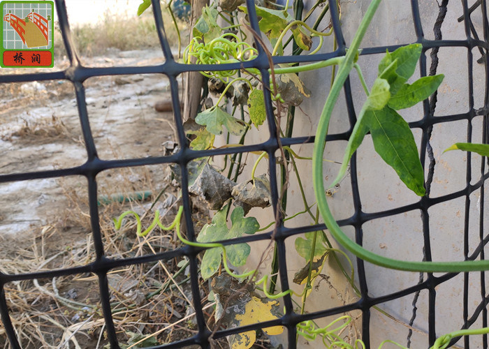 HDPE Garden Climbing Plant Support Netting , Garden Mesh Netting ...