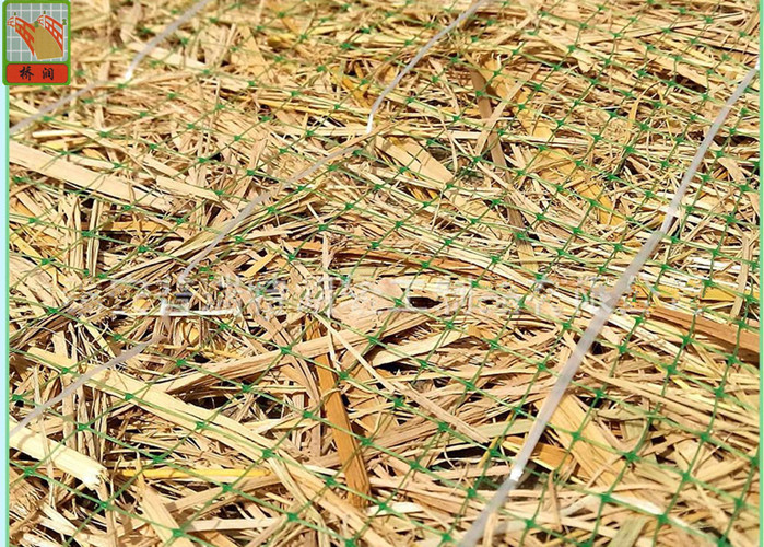 Green Square Polypropylene Mesh Screen For Erosion Control Blanket
