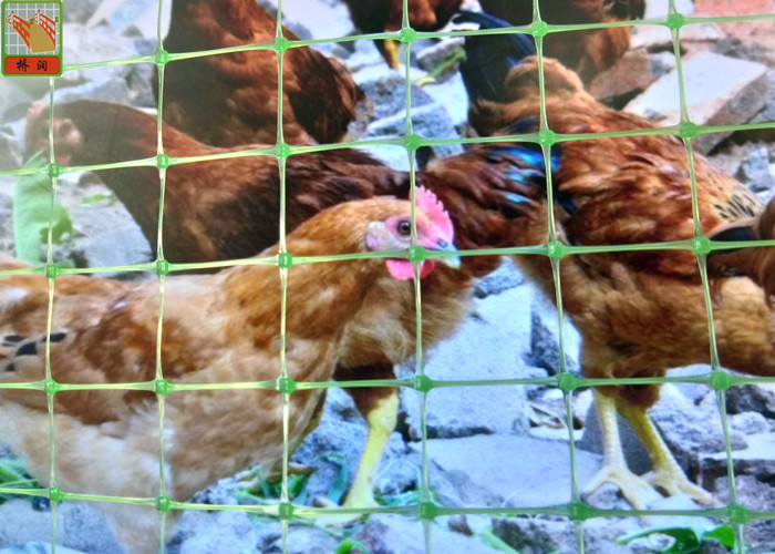 Multi - Purpose Plastic Poultry Netting, Chicken Netting, Light Weight ...